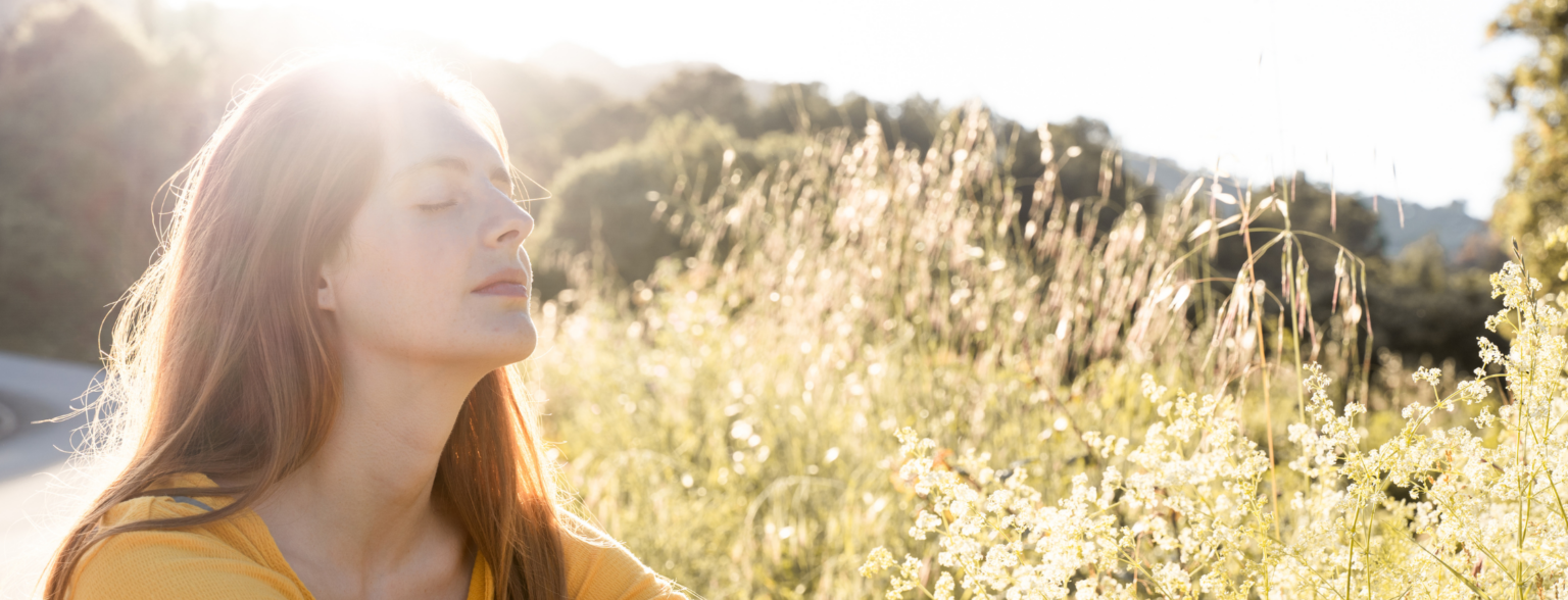 Blog - The Heirloom Collective